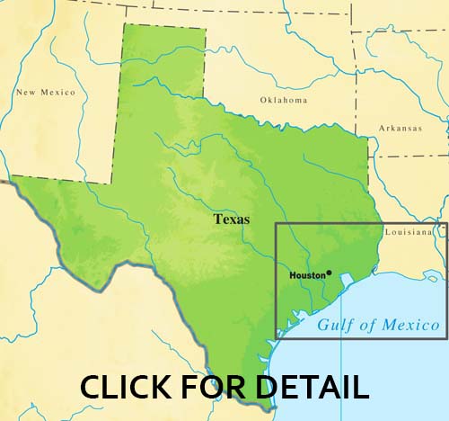 Texas Birding Tour with FIELD GUIDES: High Island and migration hotspots